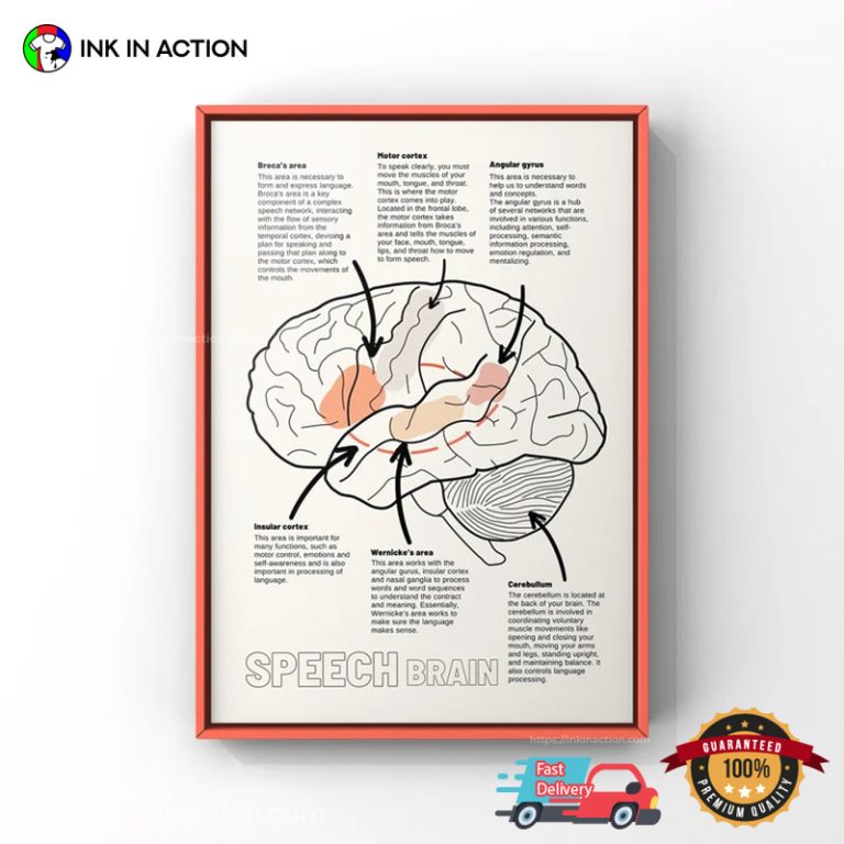 Speech Brain Anatomy SLP Therapy Poster - Print your thoughts. Tell ...