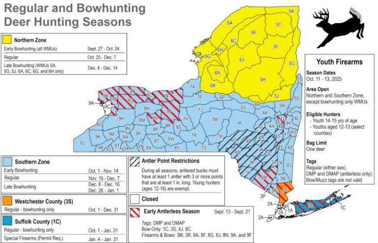 Deer Hunting Season 2025: Dates, Strategies, and Conservation Insights ...